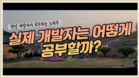 실제 개발자는 어떻게 공부하고 있을까 개발자가 공부하는 방법💻 youtube