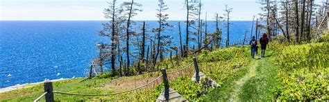 Understanding And Implementing Undrip Federation Of Canadian