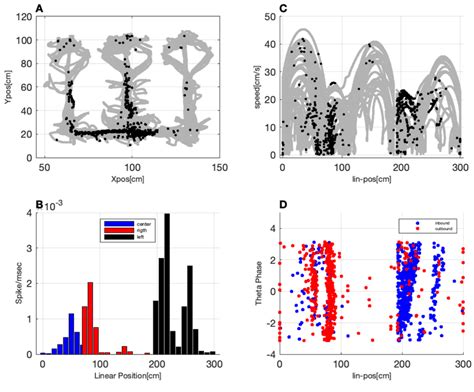 Coding Properties Of An Individual Neuron In Ca1 A Locations Of Rat