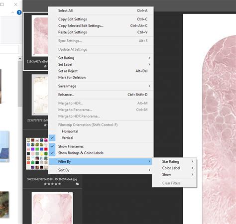 Camera Raw Hotkey Button For Ratings And Filter Adobe Product Community 13892369