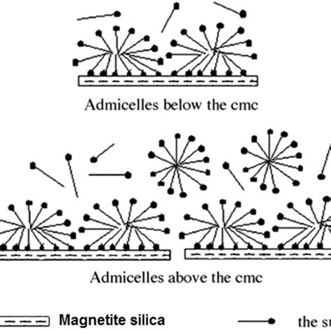 Typical Structure Of The Surfactant Aggregates Formed On The Surface Of Download Scientific