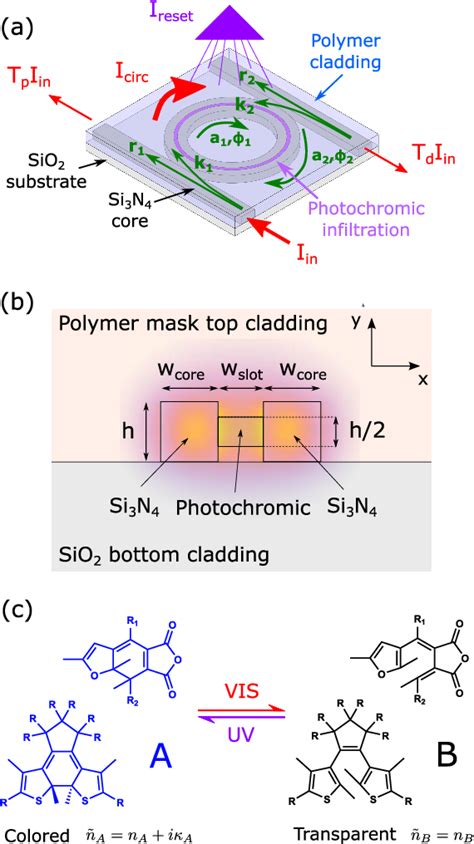 Dynamics Of A Photochromic Actuated Slot Microring Photonic Memristor Semantic Scholar