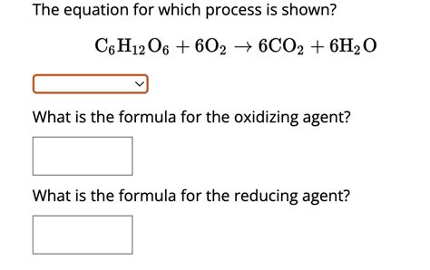 Solved The Equation For Which Process Is Shown C6h12o6 6o2 6co2