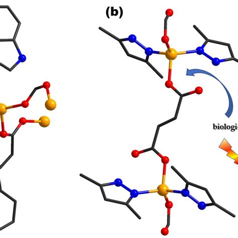 Coordinative Site Of Complexes Znpmbddpb •dpb N 72 A And