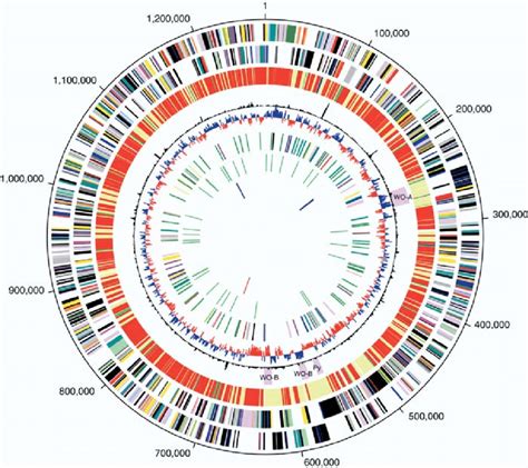 Genome Map