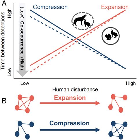 Human Disturbance Compresses The Spatiotemporal Niche Pnas