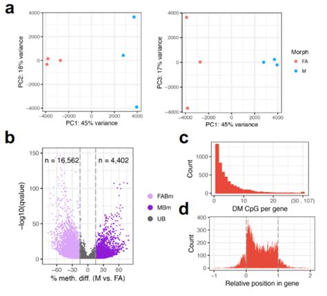 Differential Methylation Between M Persicae Asexual Female And Male Download Scientific