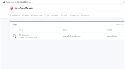 Get Started With Docker Part 5 Forward Custom Hostnames With Nginx Proxy Manager And Pi Hole