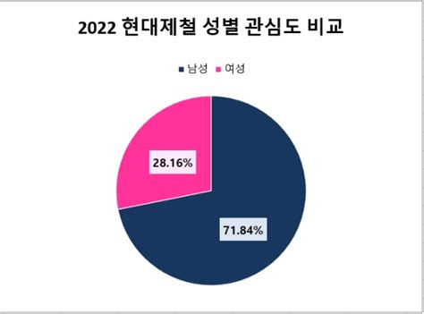 현대차그룹 기획① 현대제철 경기침체로 지난해 관심도 하락남성 집중 관심