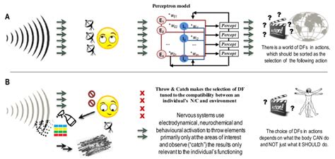 The Contrast Between The Perceptron And Classic Excitation Inhibition Download Scientific