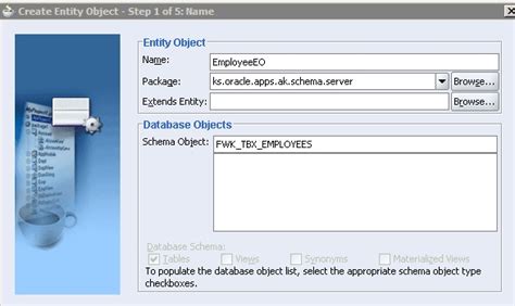 Why Can T Choose Object Type Under Database Schema When Creating A New Entity Object EO