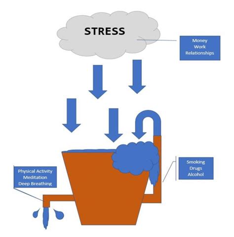 Stress Bucket Analogy Chronic Stress Flows Into The Bucket Download
