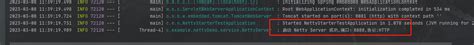 GitHub CohLins netty spring boot starter 一个netty的springboot starter内置了HTTPWebSocket自定义协议以及