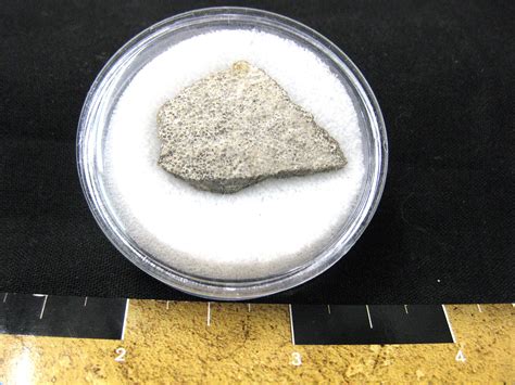 Saltasaurus Dinosaur Egg Shell 32 For Sale