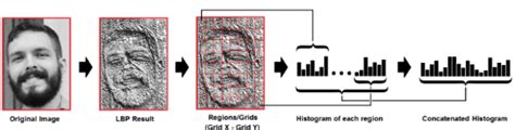 Process Of LBPH Algorithm On An Image Download Scientific Diagram