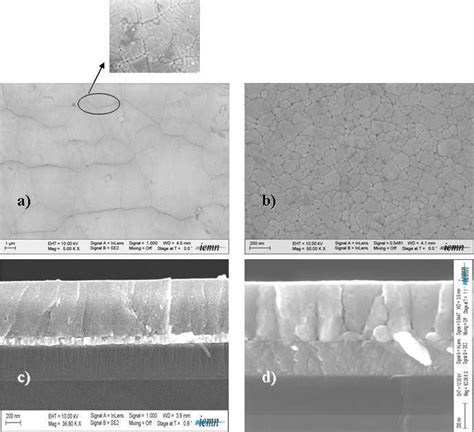 15 Images par microscopie électronique à balayage de la surface des