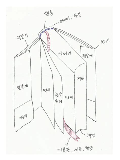 ∈≪ 책의 구성 표지 내지 면지 속지 커버 인쇄의 구조 ≫∋ 네이버 블로그