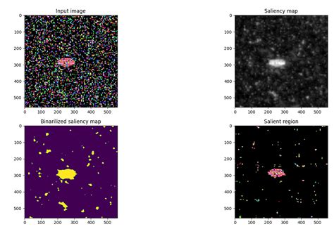Inconsistency Between Code Output And Paper Results · Issue 6 · Akisatokpysaliencymap · Github