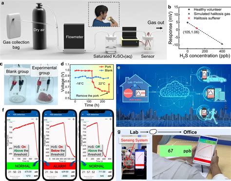 H S Detection Application Scenarios A Schematic Diagram Of Halitosis Download Scientific