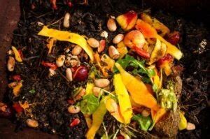 The Different Types Of Compost How To Make Compost