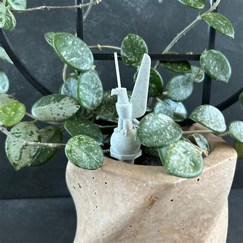 “the Eagle” Pot Peep Plantipeeps