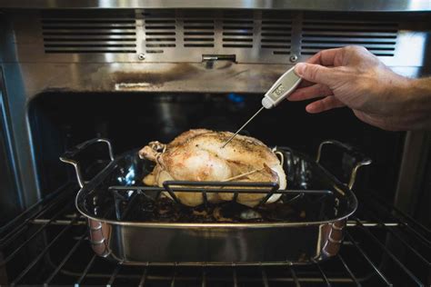 The Correct Chicken Temperature For Juicy White And Dark Meat