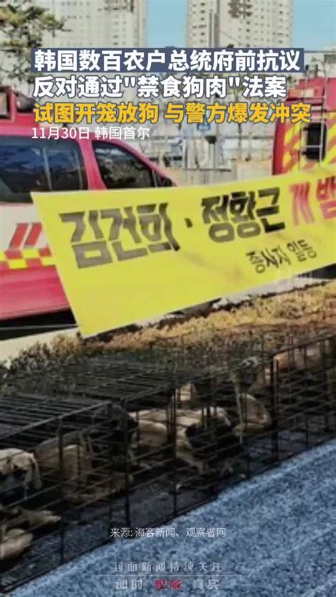 韩国数百农户抗议反对通过禁食狗肉法案试图开笼放狗与警方爆发冲突 凤凰网视频 凤凰网