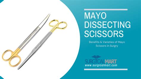 Mayo Dissecting Scissors Uses And Crucial Role In Surgery