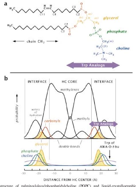 Tryptophan Semantic Scholar