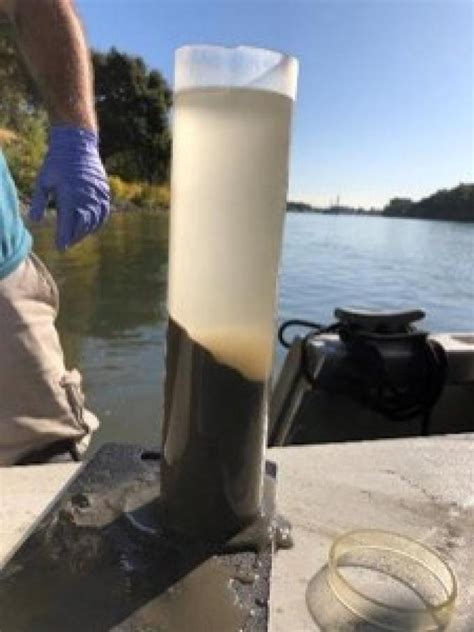 Assessing Sediment Nutrient Storage And Release In The Delta Linking