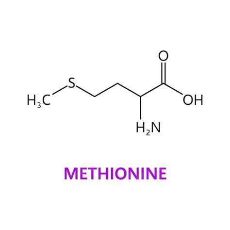 Premium Vector Methionine Amino Acid Chemical Molecule Structure