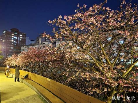 內湖一日遊景點總整理｜秘境打卡點超過10個，季節限定花海踏青步道歷史古蹟運動公園，搭捷運、公車就能到銀髮族必去！ 銀髮一起玩