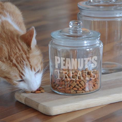 Personalised Cat Treat Jar By Oh So Cherished