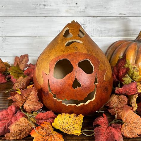 Halloween Gourd Jack O Lantern Pumpkin Decoration Dried Etsy