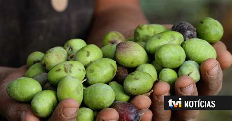 A Melhor Dieta Para Emagrecer é A Nossa Tvi Notícias