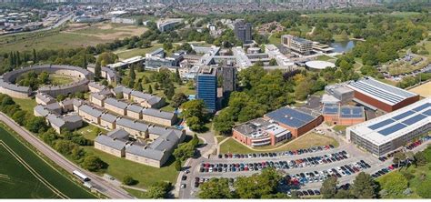University Of Essex گروه پیوند