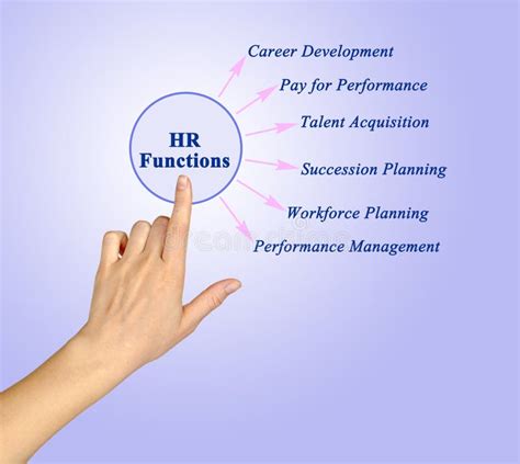 Functions Of Human Resources Management Stock Photo Image Of Planning Succession