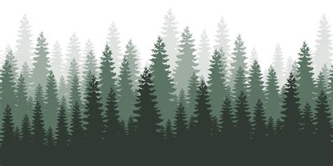 Horizontal Forest Landscape Layered Trees Background Evergreen