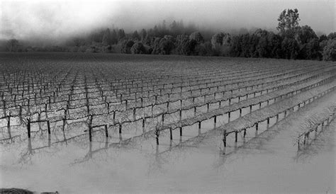 Usda Reminds Producers Of Disaster Programs Morning Ag Clips