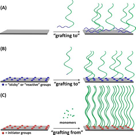 Supramolecular Polymer Brushes Acs Polymers Au