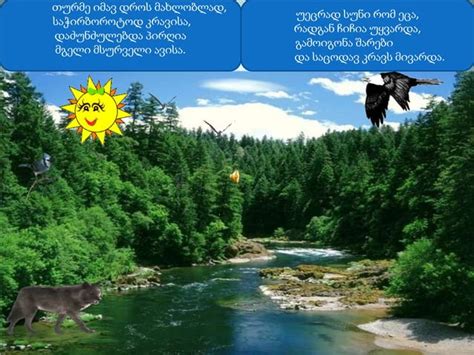 მგელი და კრავი პრეზენტაცია Pptx