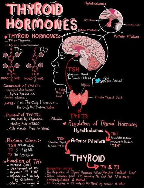 Experimental And Theoretical Phases An Emerging Phase May Be To