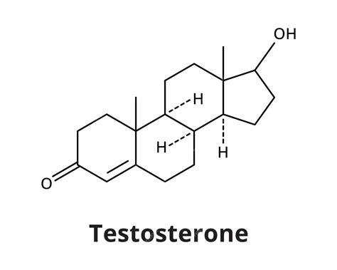 Ilustração Em Vetor Estrutura Química Do Hormônio Testosterona Vetor