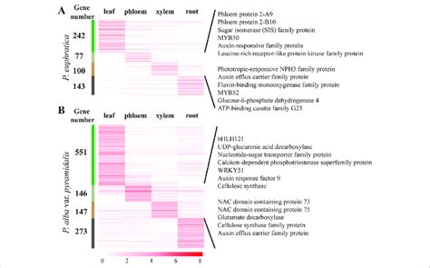 Tissue Specific Expression Of Lncrnas And Their Roles In Plant
