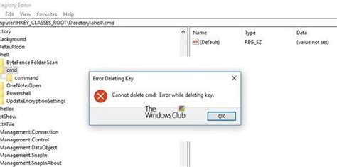 Delete Locked Registry Keys With Registry Deleteex For Windows