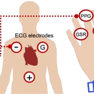 Positioning Of Different Sensors Download Scientific Diagram