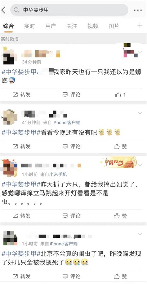 出现这虫不用报警用最朴素的方式即可 知乎