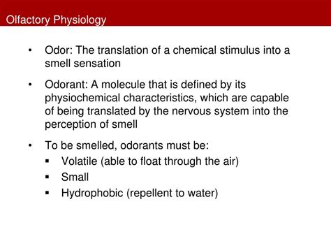Ppt Olfaction Powerpoint Presentation Free Download Id4544823