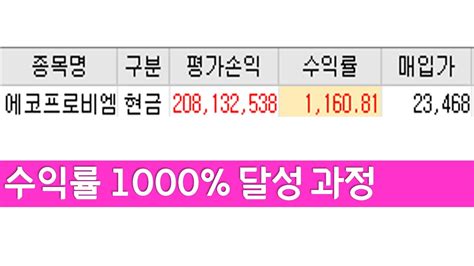1000프로 수익 나도 할 수 있다 에코프로비엠 텐배거 Youtube