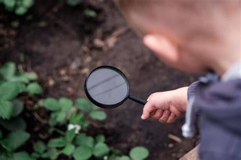Curioso niño preescolar con lupa explorando plantas en invernadero